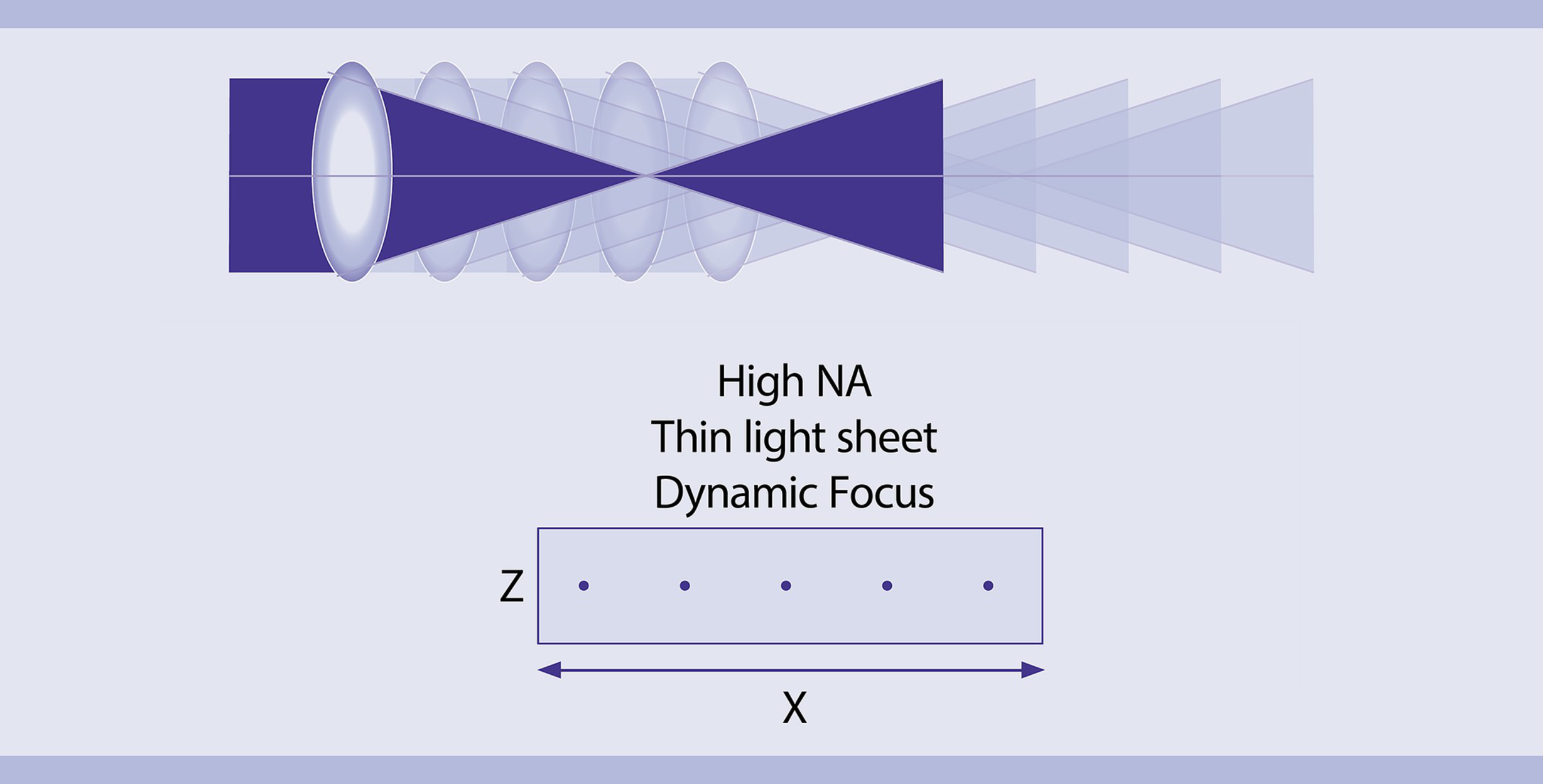 Light sheet microscopy | Miltenyi Biotec | USA