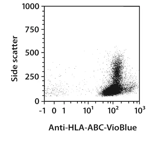 HLA-ABC Antibody, anti-human, REAfinity™ | Miltenyi Biotec | USA