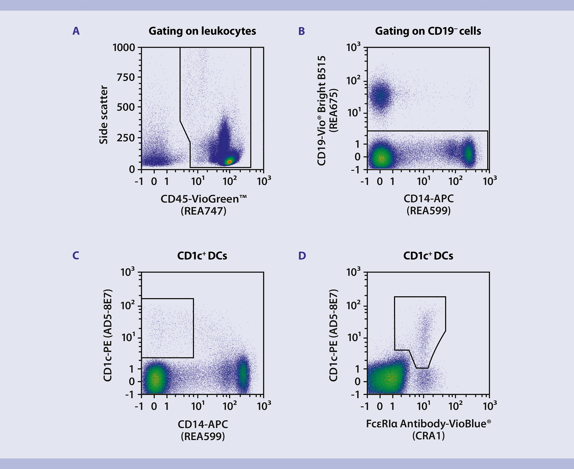 Immunophenotyping | CD1c+ DCs | Human blood | Protocol | Miltenyi ...