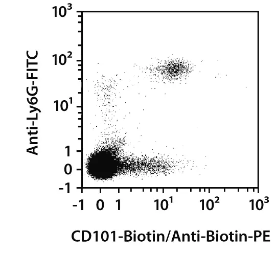CD101 Antibody, anti-mouse, REAfinity™ | Miltenyi Biotec | India
