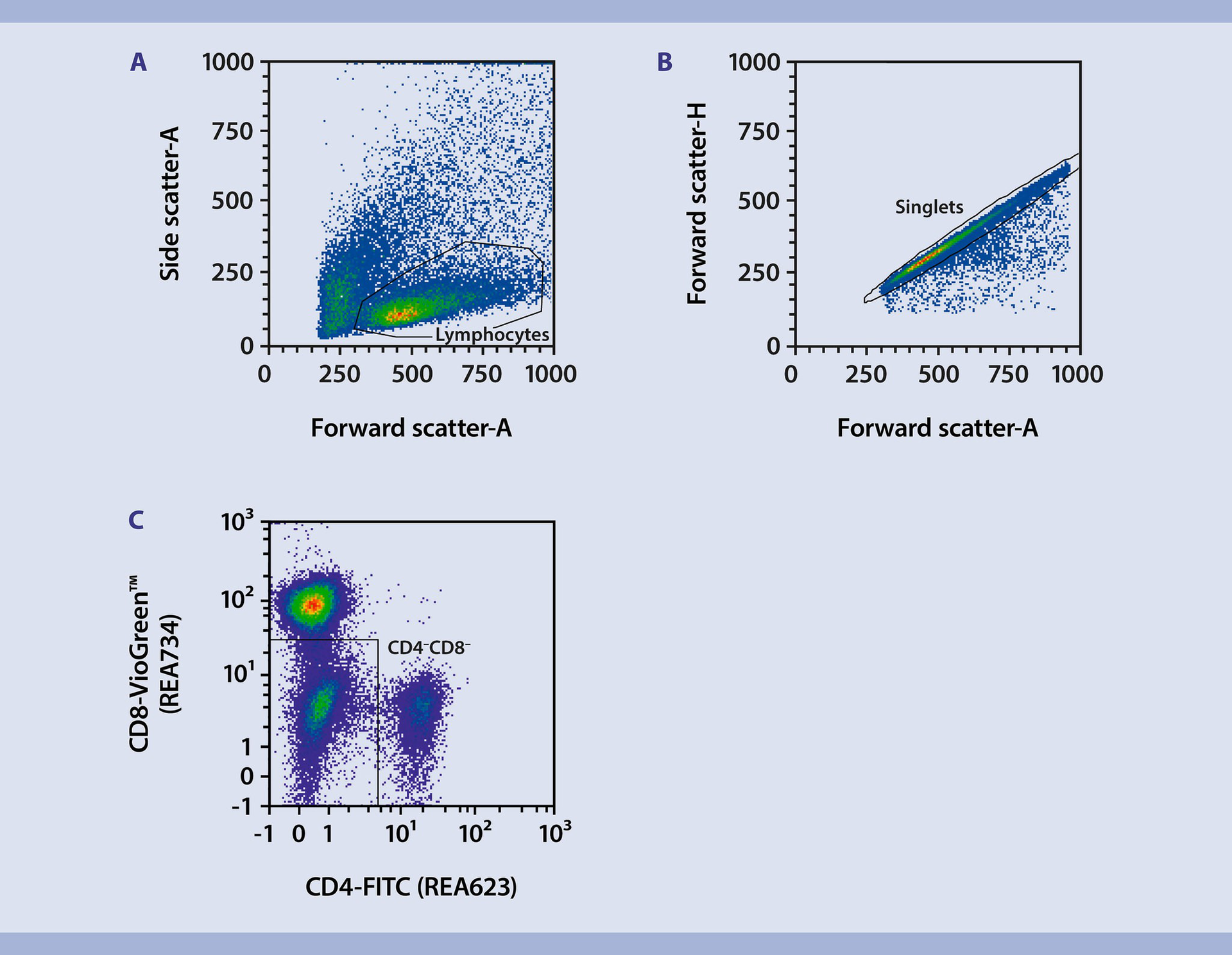 Tumor-reactive T cells | T cell functionality | Protocol | Miltenyi ...