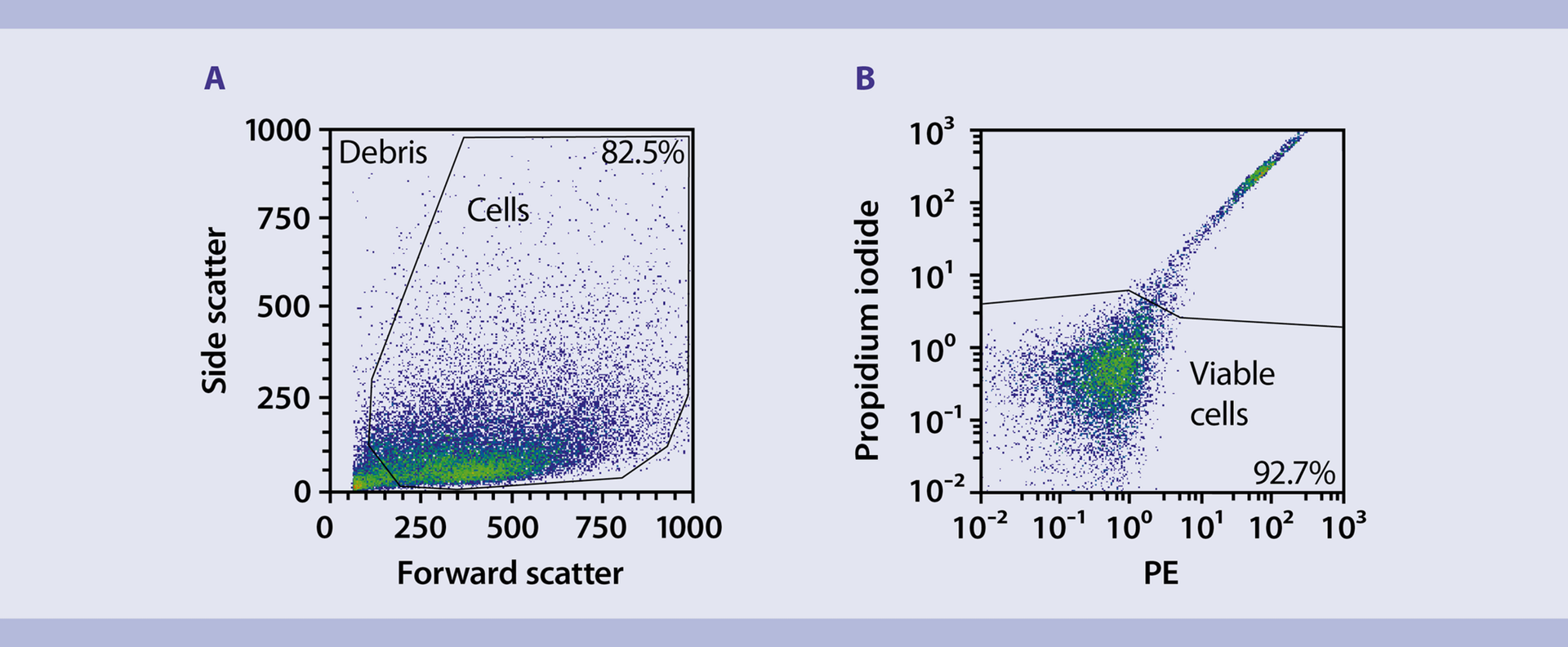 Astrocytes | Astrocyte Culture Isolation Characterization ...