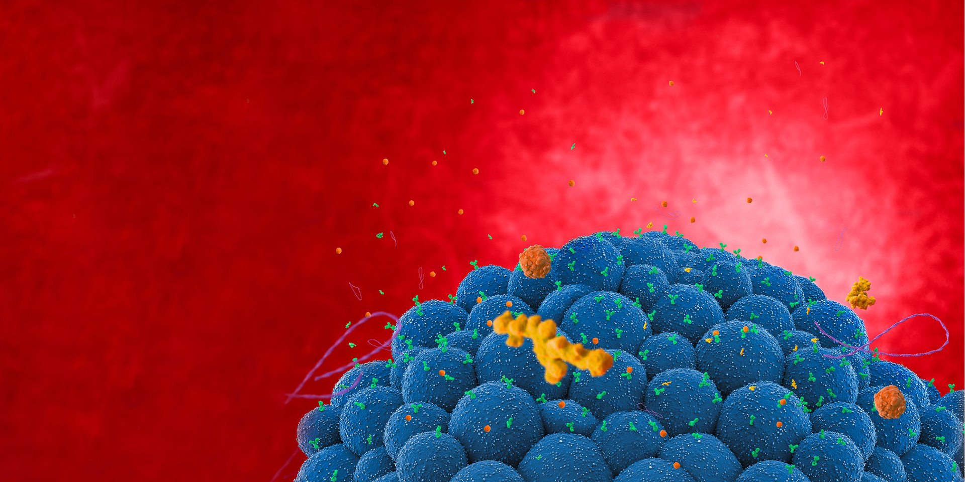 Stem cell applications: workflows & solutions | Miltenyi Biotec | USA