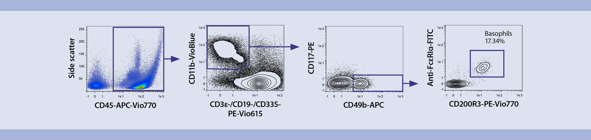 Granulocytes | Mouse spleen | Flow cytometry | Miltenyi Biotec | 日本
