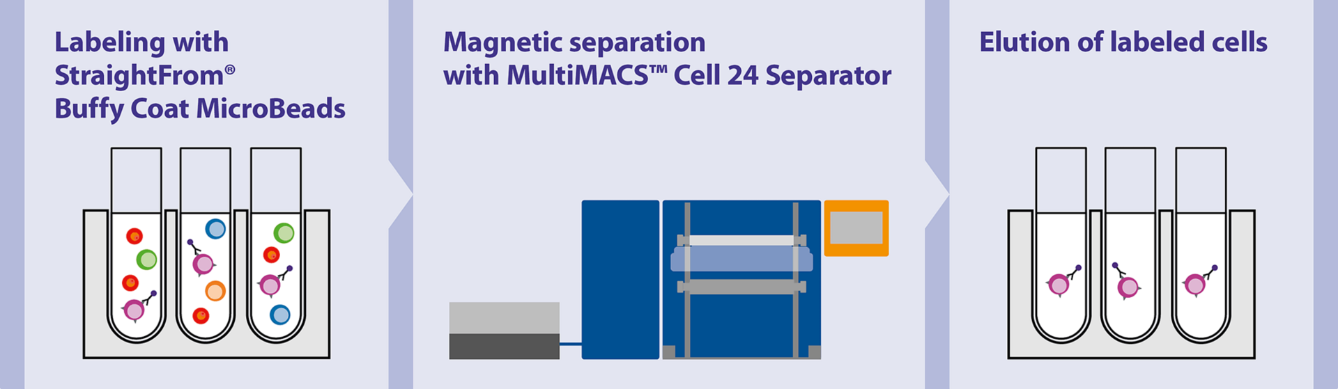 Buffy Coat Buffy Coat | Immune Cell Isolation | Miltenyi Biotec