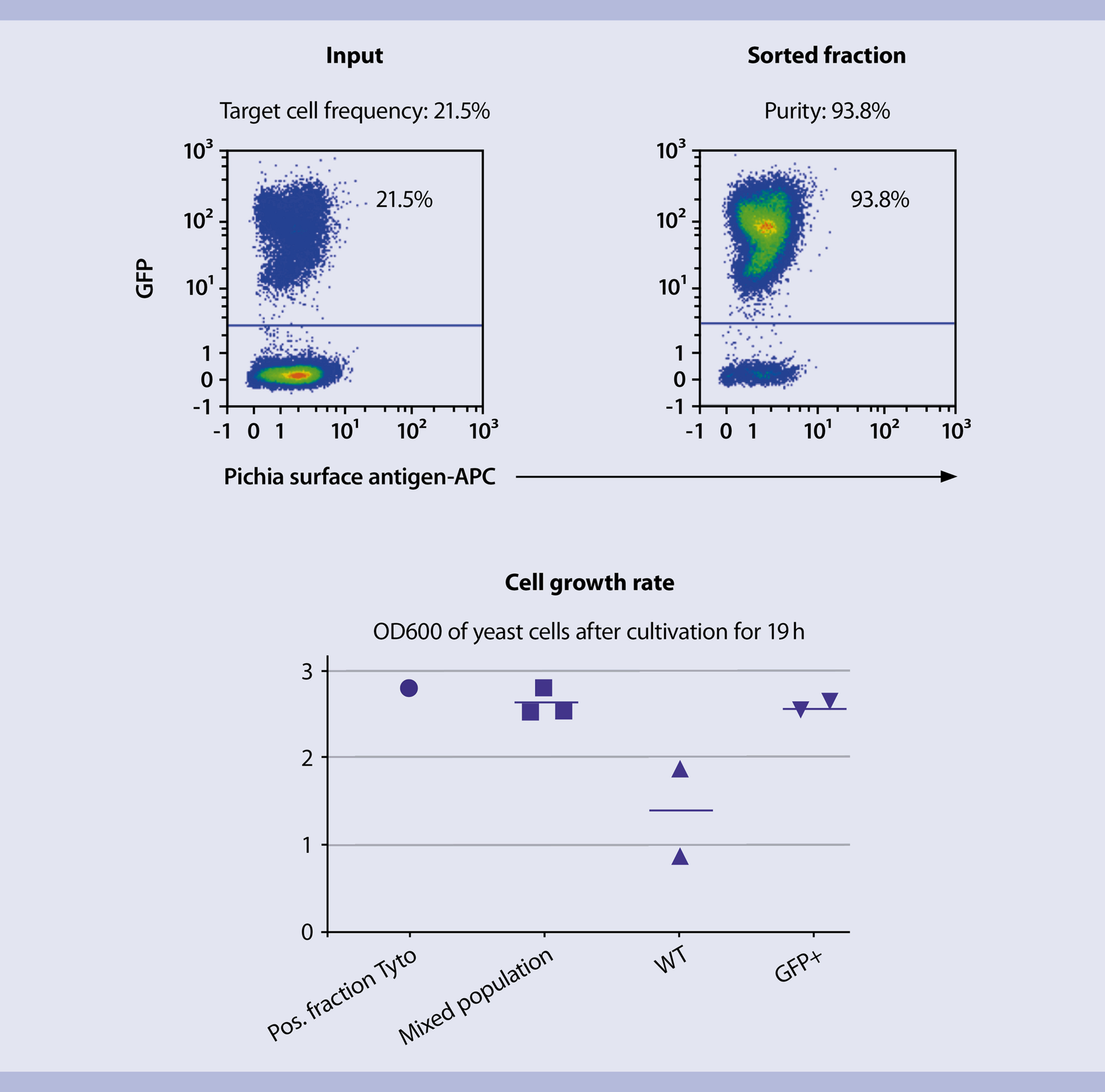 MACSQuant Tyto cell sorting applications | Miltenyi Biotec | भारत