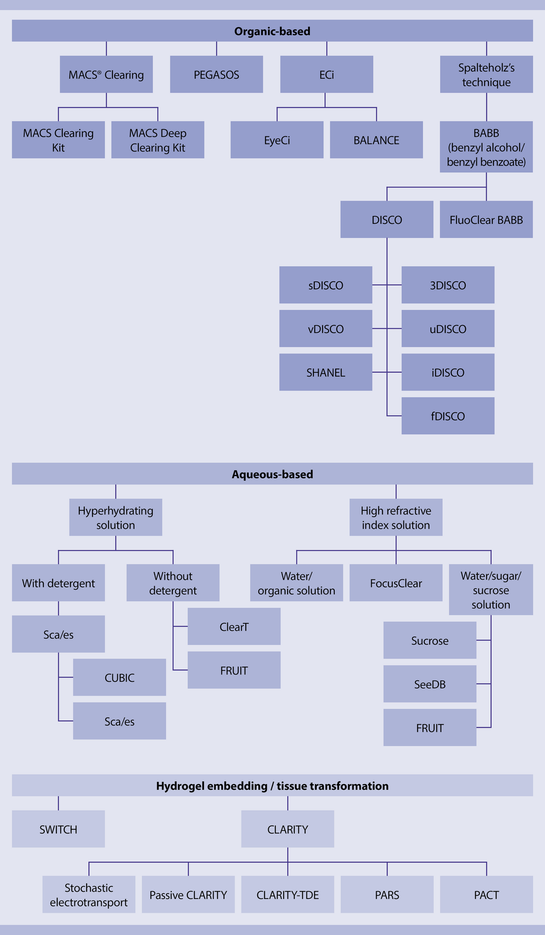 Light sheet microscopy | Miltenyi Biotec | Great Britain