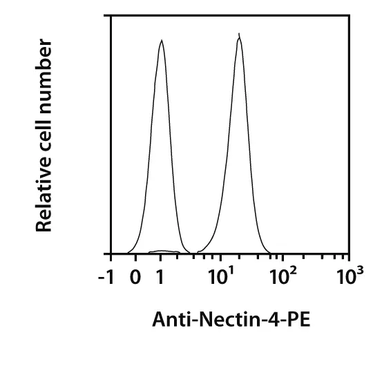 Nectin-4 Antibody, anti-human, REAfinity™ | Miltenyi Biotec | USA