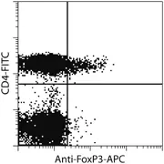 FoxP3 Staining Buffer Set | Miltenyi Biotec | USA