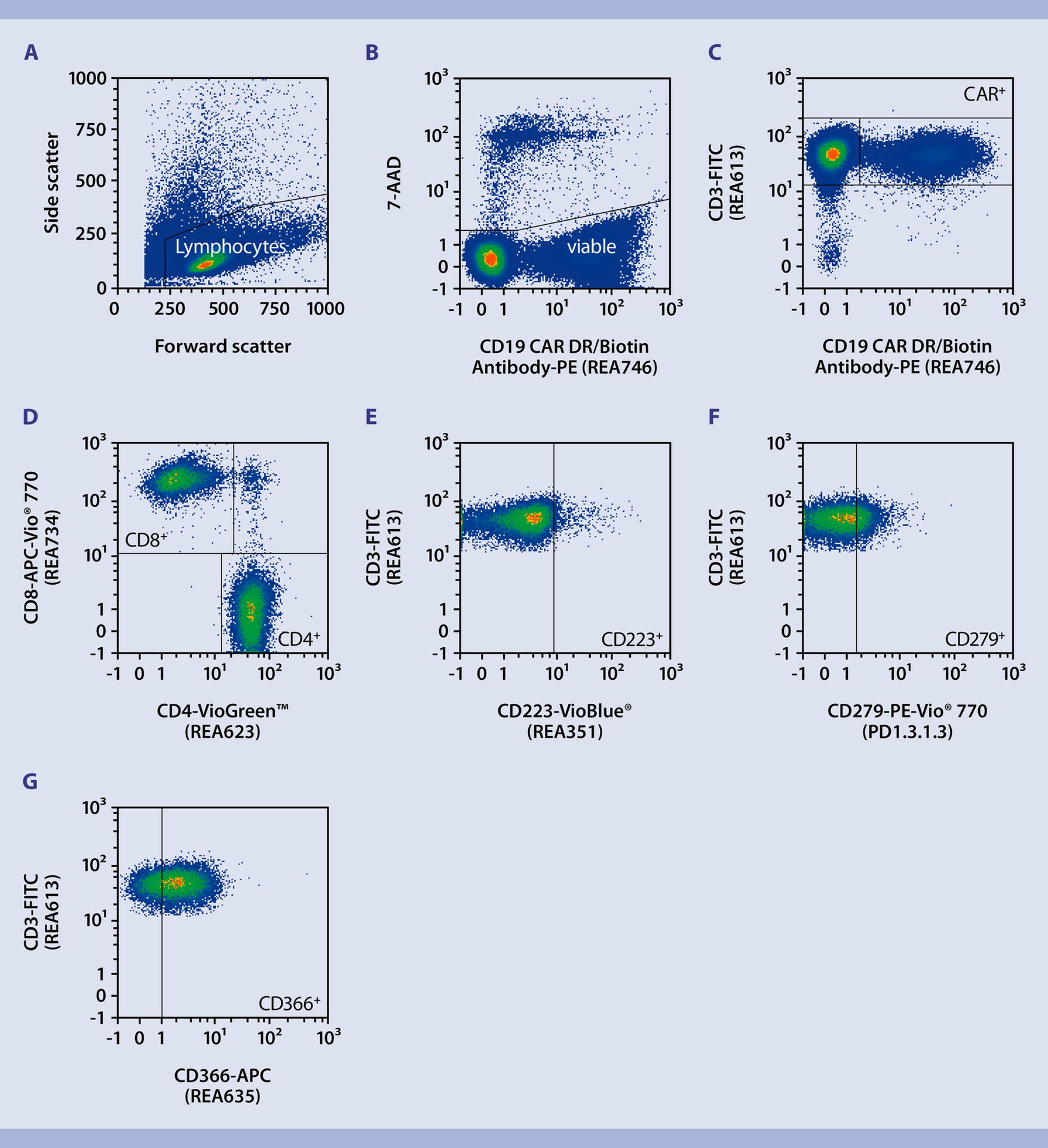 CAR T cell exhaustion | CAR T cell failure | Miltenyi | Miltenyi Biotec ...