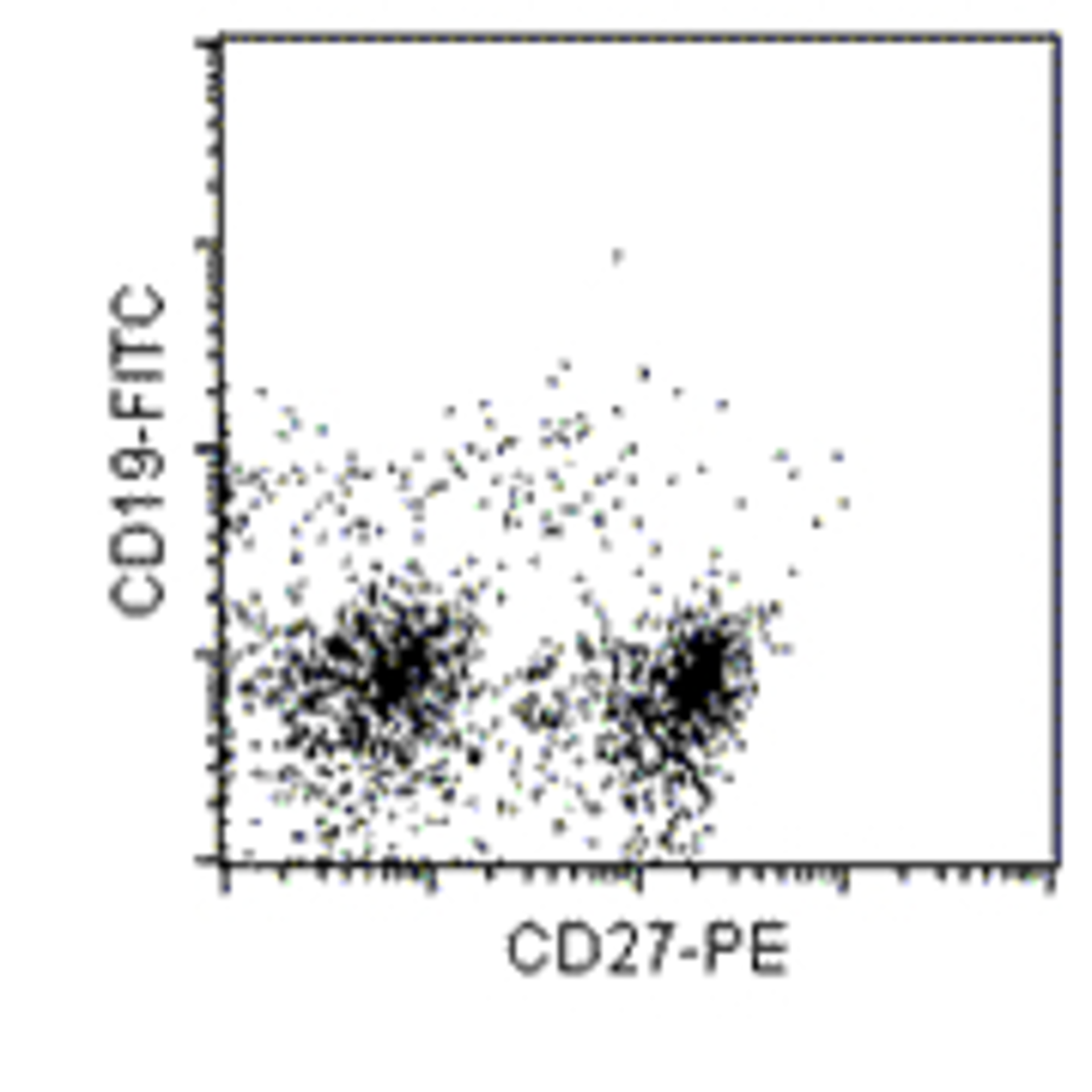 B cells (human) | Miltenyi Biotec | USA