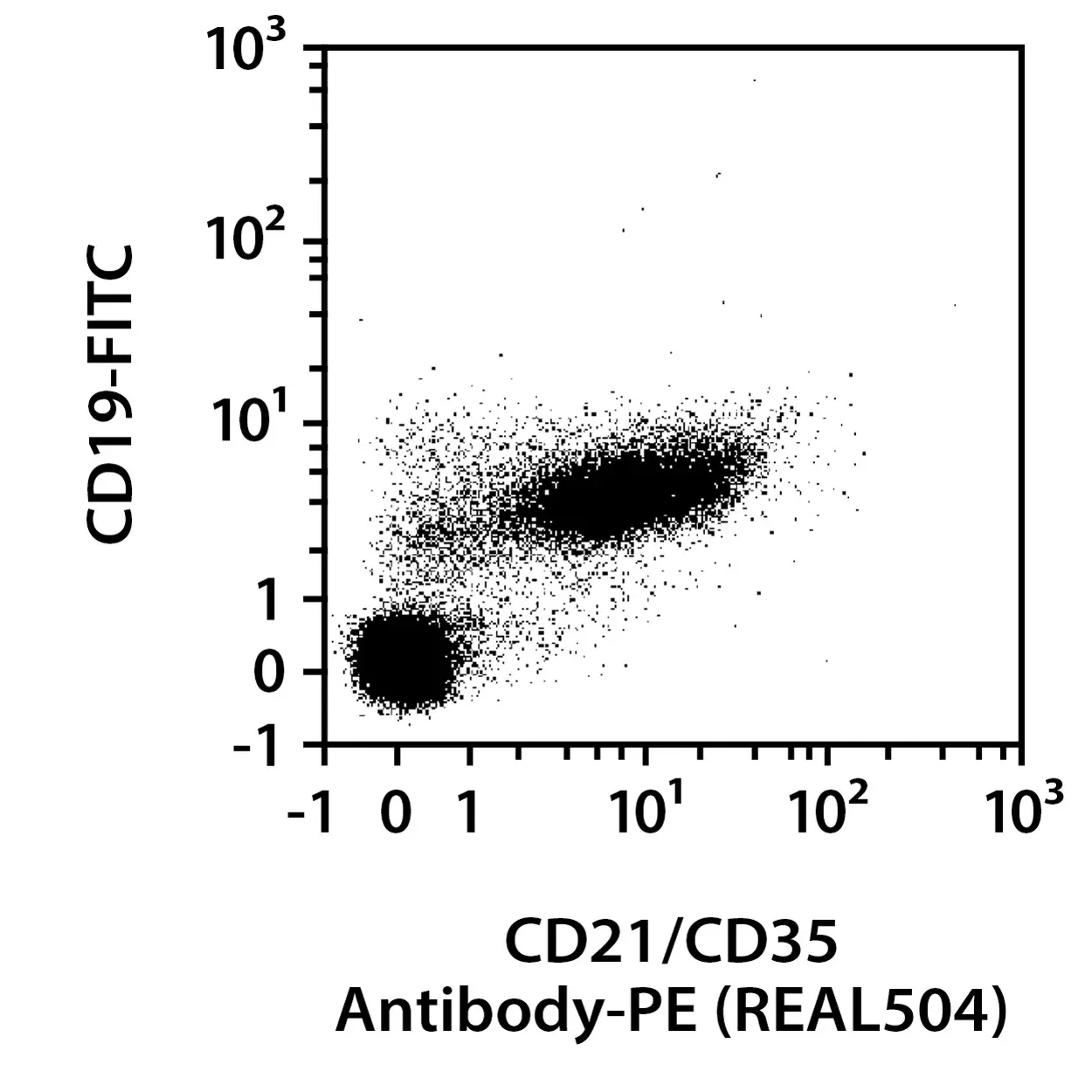 CD21/CD35 Antibody, anti-mouse, REAlease® | Miltenyi Biotec | Great Britain