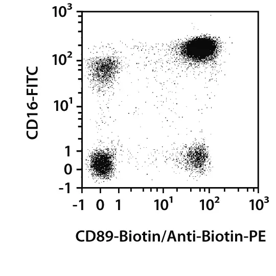 CD89 Antibody, anti-human, REAfinity™ | Miltenyi Biotec | USA