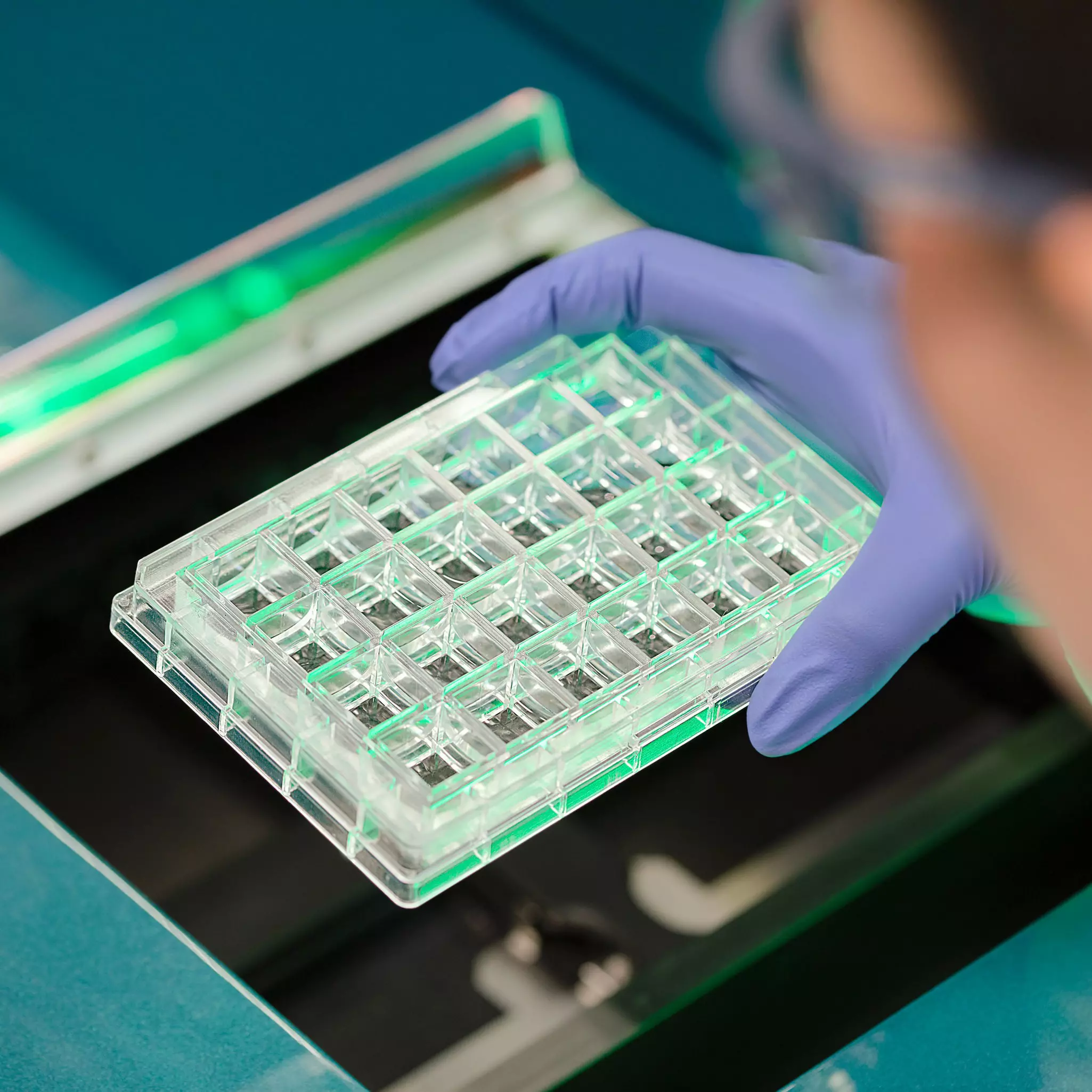 Sensovation | Miltenyi Biotec | USA