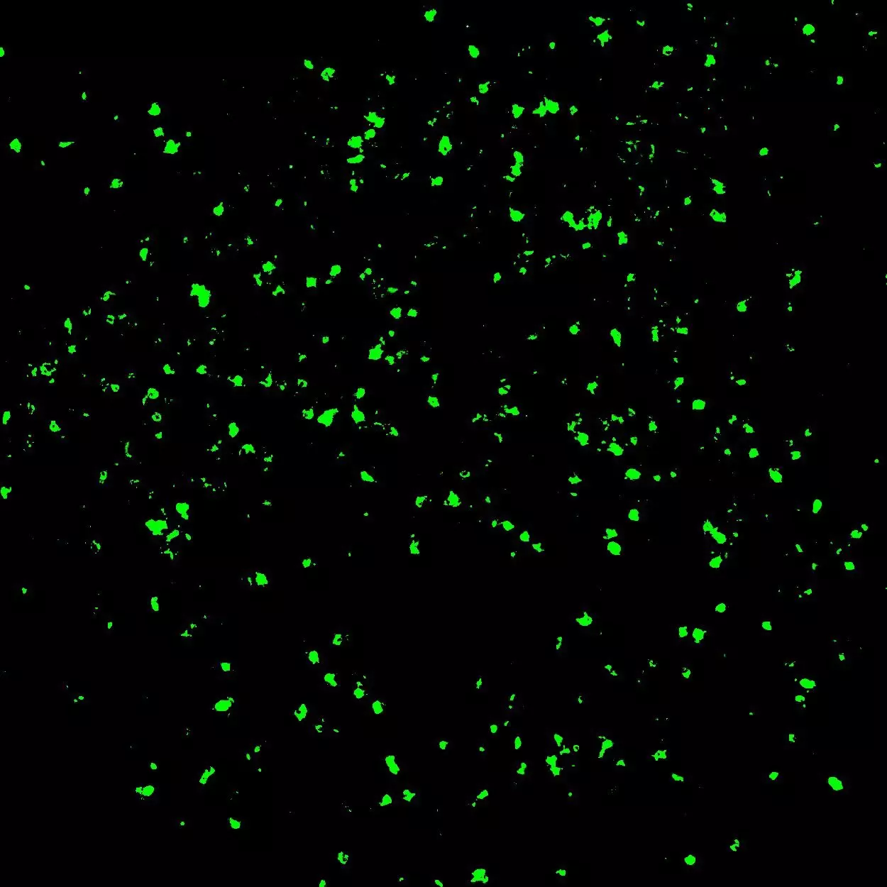 CD159a (NKG2A) Antibody, anti-human, REAfinity™ | Miltenyi Biotec | USA