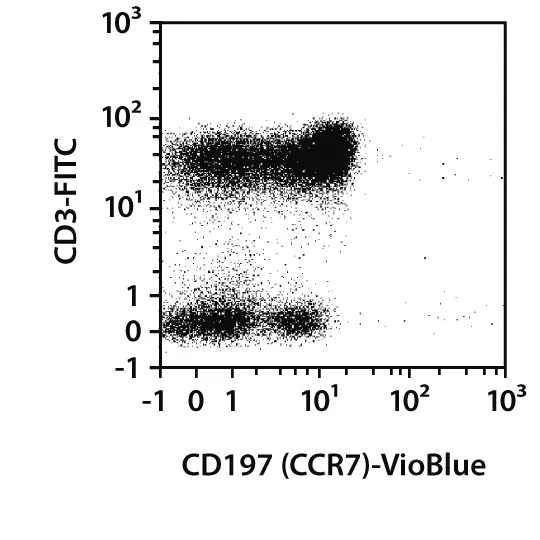 CD197 (CCR7) Antibody, anti-human, REAfinity™ | Miltenyi Biotec | USA
