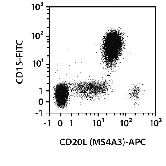 CD20L (MS4A3) Antibody, anti-human, REAfinity™ | Miltenyi Biotec | USA