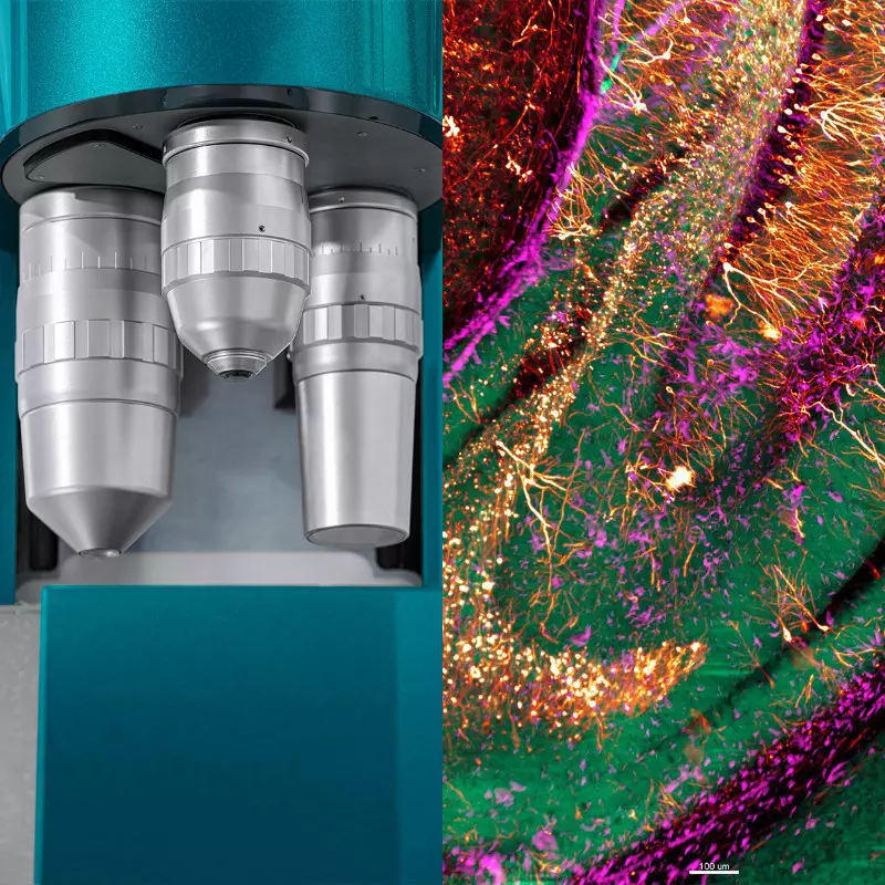UltraMicroscope Blaze™ | Light Sheet Microscope for 3D Imaging ...