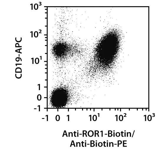 ROR1 Antibody, anti-human, REAfinity™ | Miltenyi Biotec | Great Britain