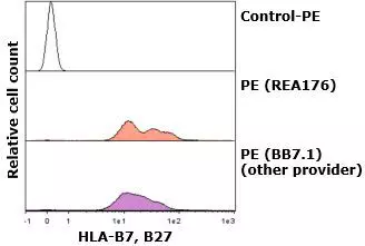 HLA-B7, B27 Antibody, anti-human, REAfinity™ | Miltenyi Biotec | USA