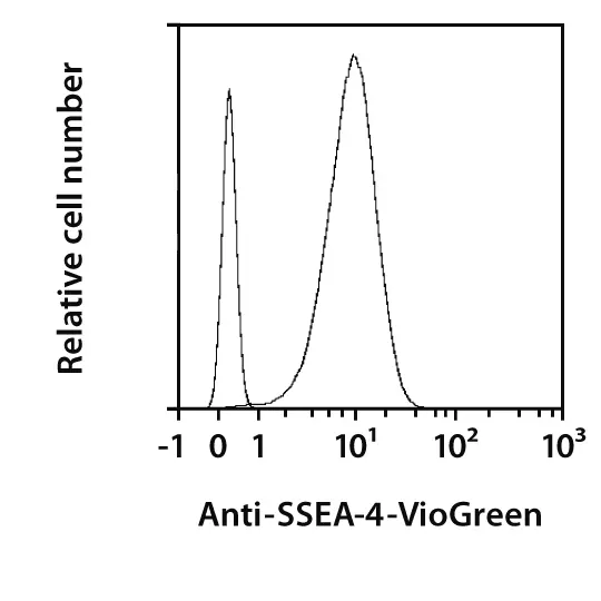 SSEA-4 Antibody, anti-human, REAfinity™ | Miltenyi Biotec | USA