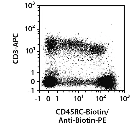 CD45RC Antibody, anti-rat, REAfinity™ | Miltenyi Biotec | USA