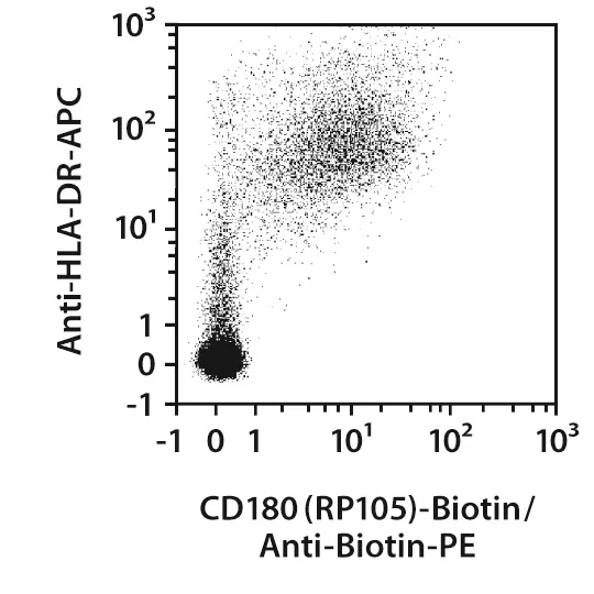CD180 (RP105) Antibody, anti-human | Miltenyi Biotec | USA