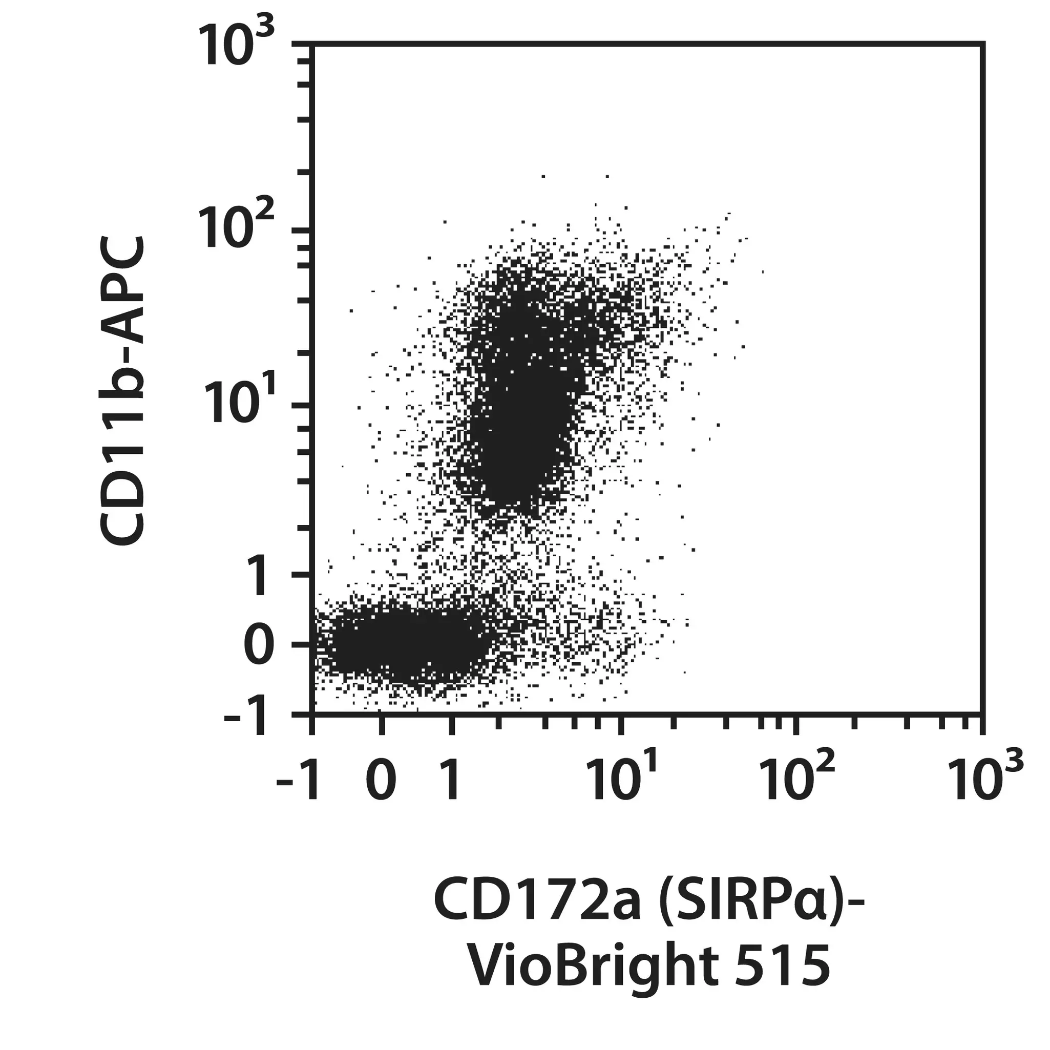 CD172a (SIRPα) Antibody, anti-mouse, REAfinity™ | CD172a (SIRPα ...
