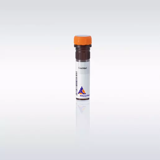 Treg Surface Marker Analysis Cocktail, anti-human | Miltenyi Biotec | 中国