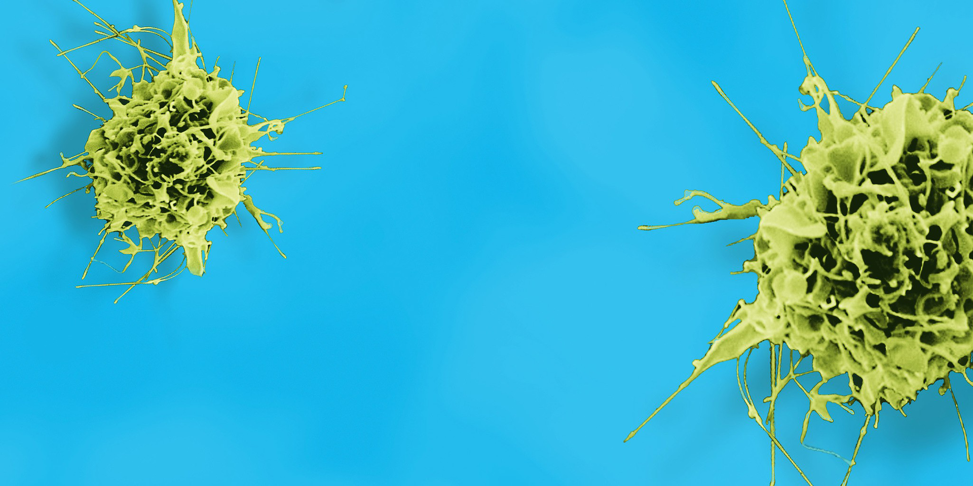 PiCoP | Miltenyi Biotec | भारत