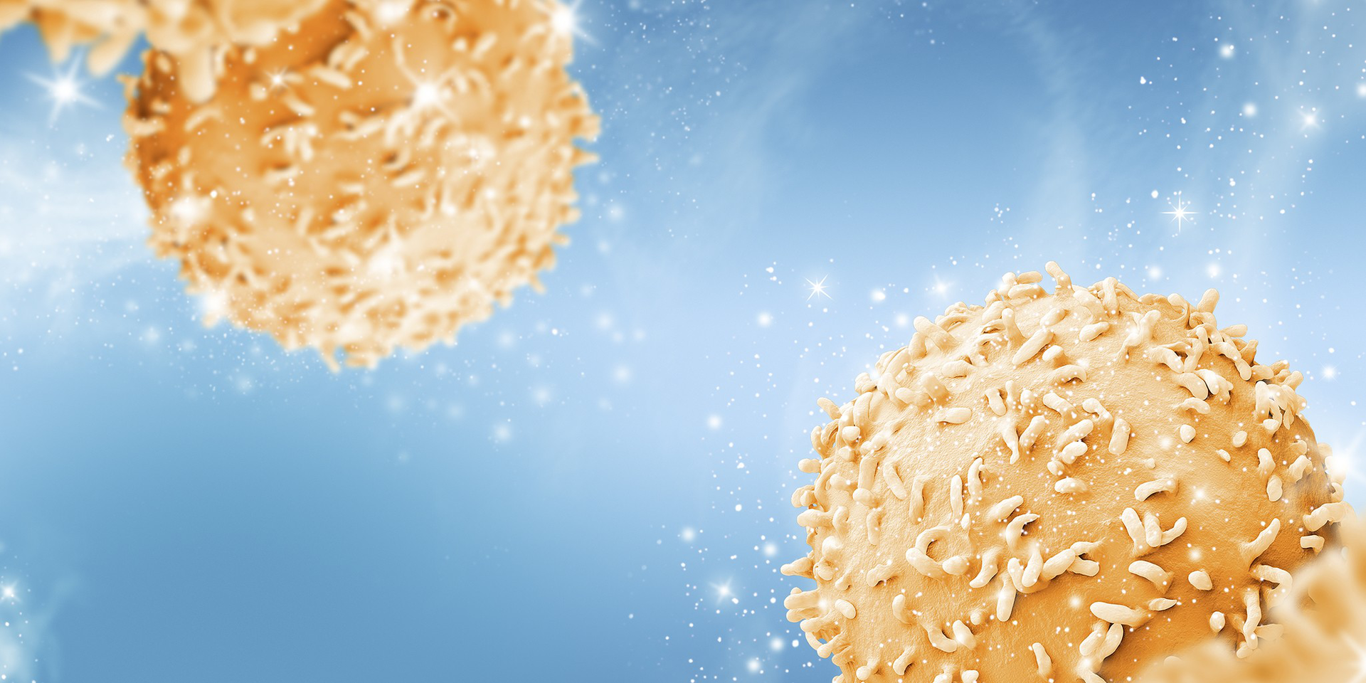 Cell separation strategies using MACS® Technology | Miltenyi Biotec | USA