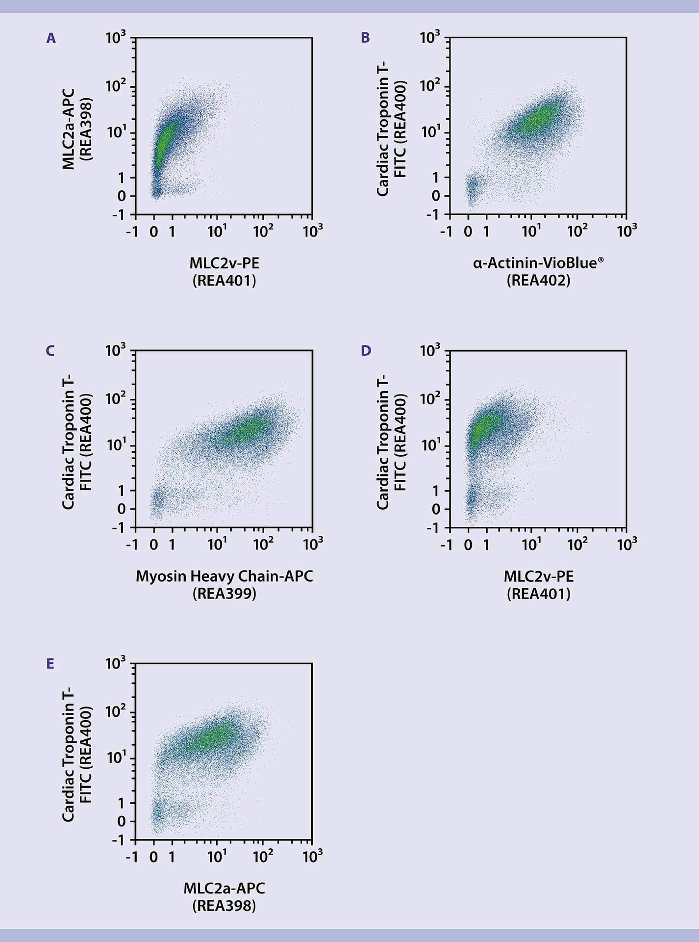 Immunophenotyping | Cardiomyocytes from pluripotent stem cells ...