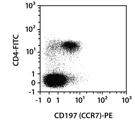 CD197 (CCR7) Antibody, anti-mouse | Miltenyi Biotec | USA