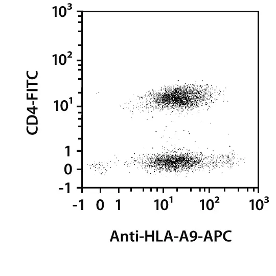 HLA-A9 Antibody, anti-human, REAfinity™ | Miltenyi Biotec | 日本