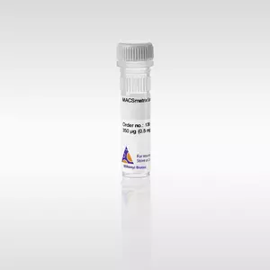 StemMACS™ Trilineage Differentiation Kit, human | Miltenyi Biotec | USA