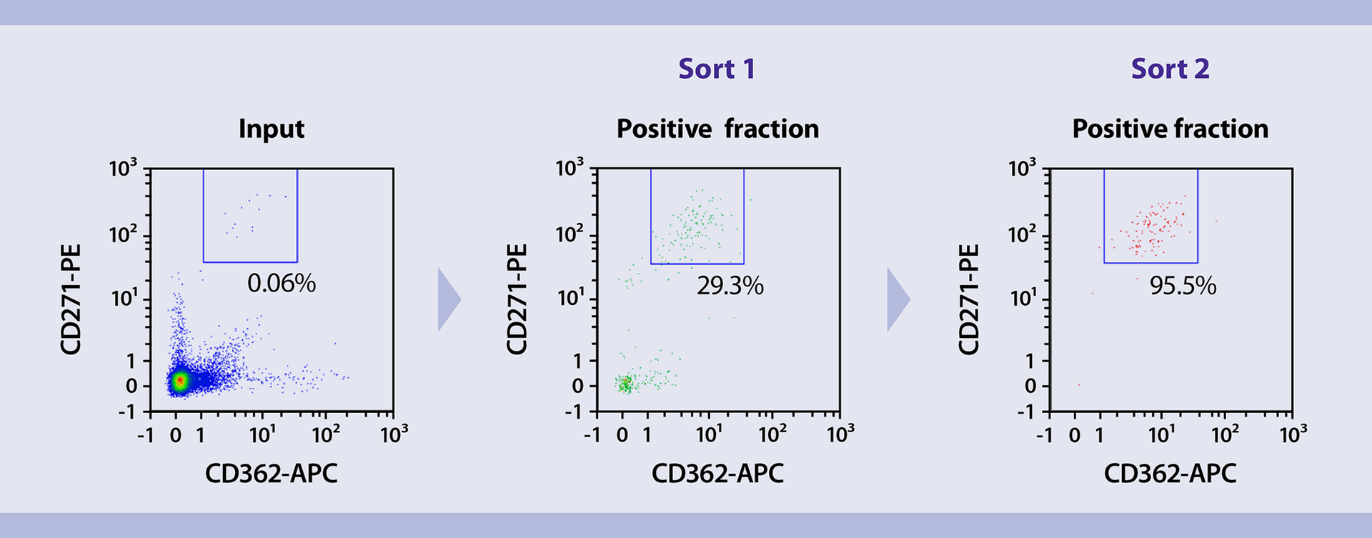 Stem cell sorting | MACSQuant Tyto | Miltenyi Biotec | USA