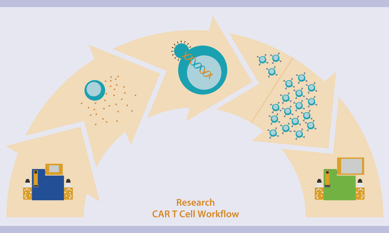 CAR T Cell workflow | Streamline your CAR T Cell research | Miltenyi ...