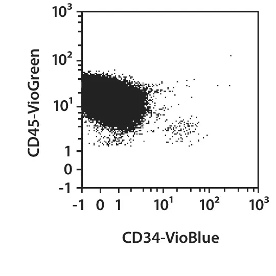 CD34 Antibody, anti-human | Miltenyi Biotec | USA
