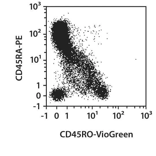 CD45RO Antibody, anti-human | Miltenyi Biotec | Deutschland