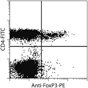 FoxP3 Staining Buffer Set | Miltenyi Biotec | USA