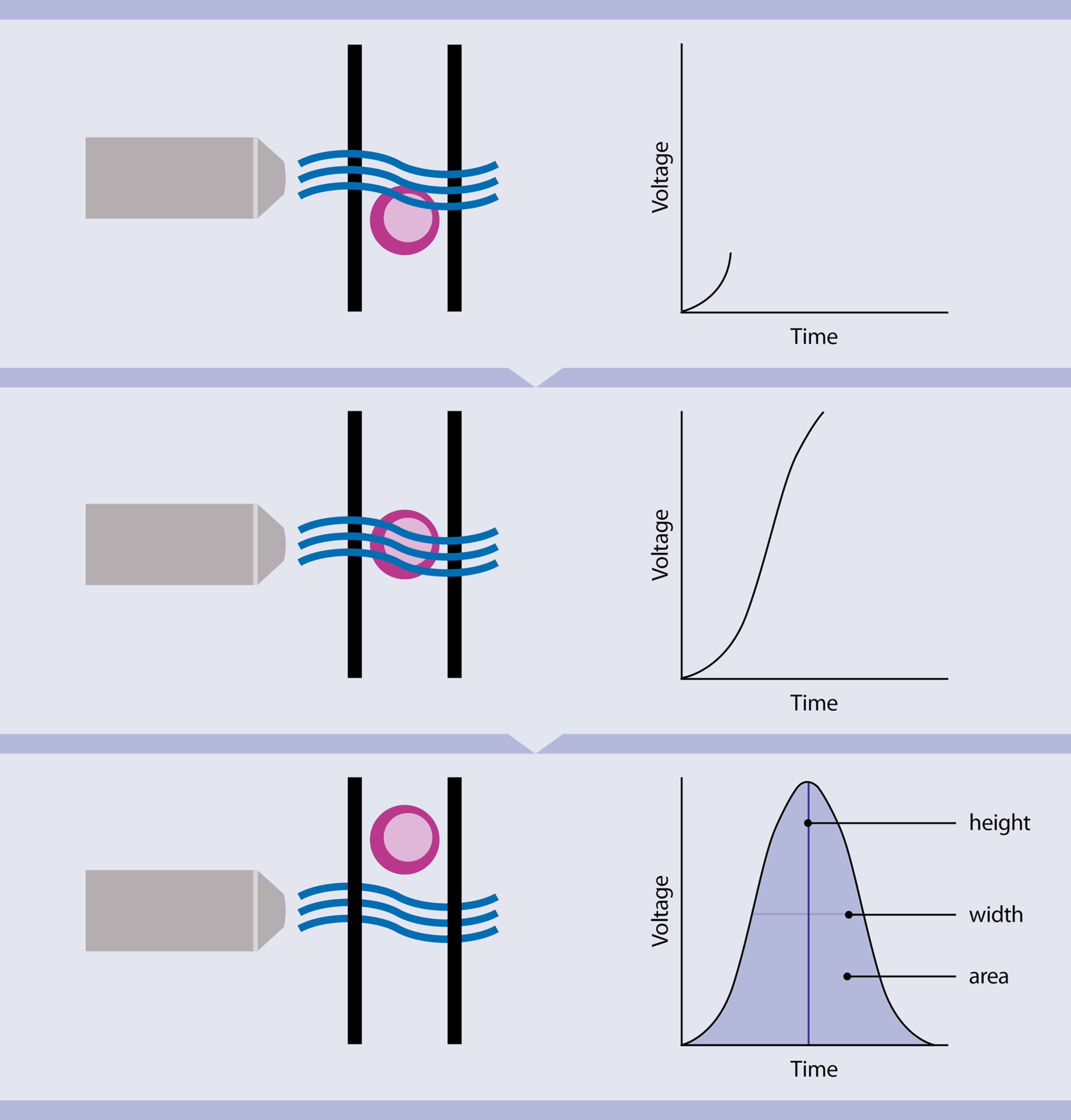 Flow cytometry basics | Miltenyi Biotec | USA