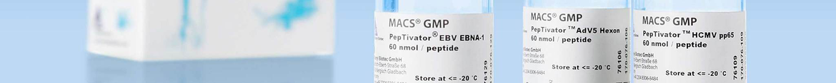 In vitro stimulation | MACS® GMP antigens and peptide pools | Miltenyi ...