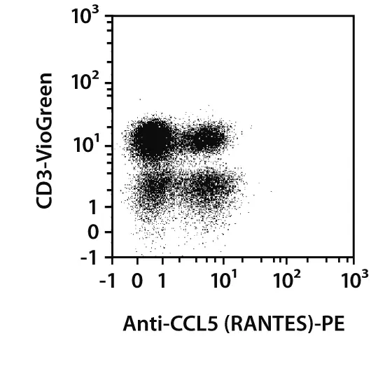 CCL5 (RANTES) Antibody, anti-human, REAfinity™ | Miltenyi Biotec | USA