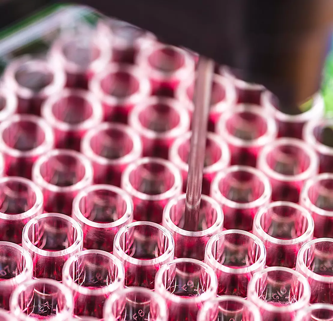 Flow Cytometry Reagents | Flow Cytometry Kits | Miltenyi Biotec | 中国
