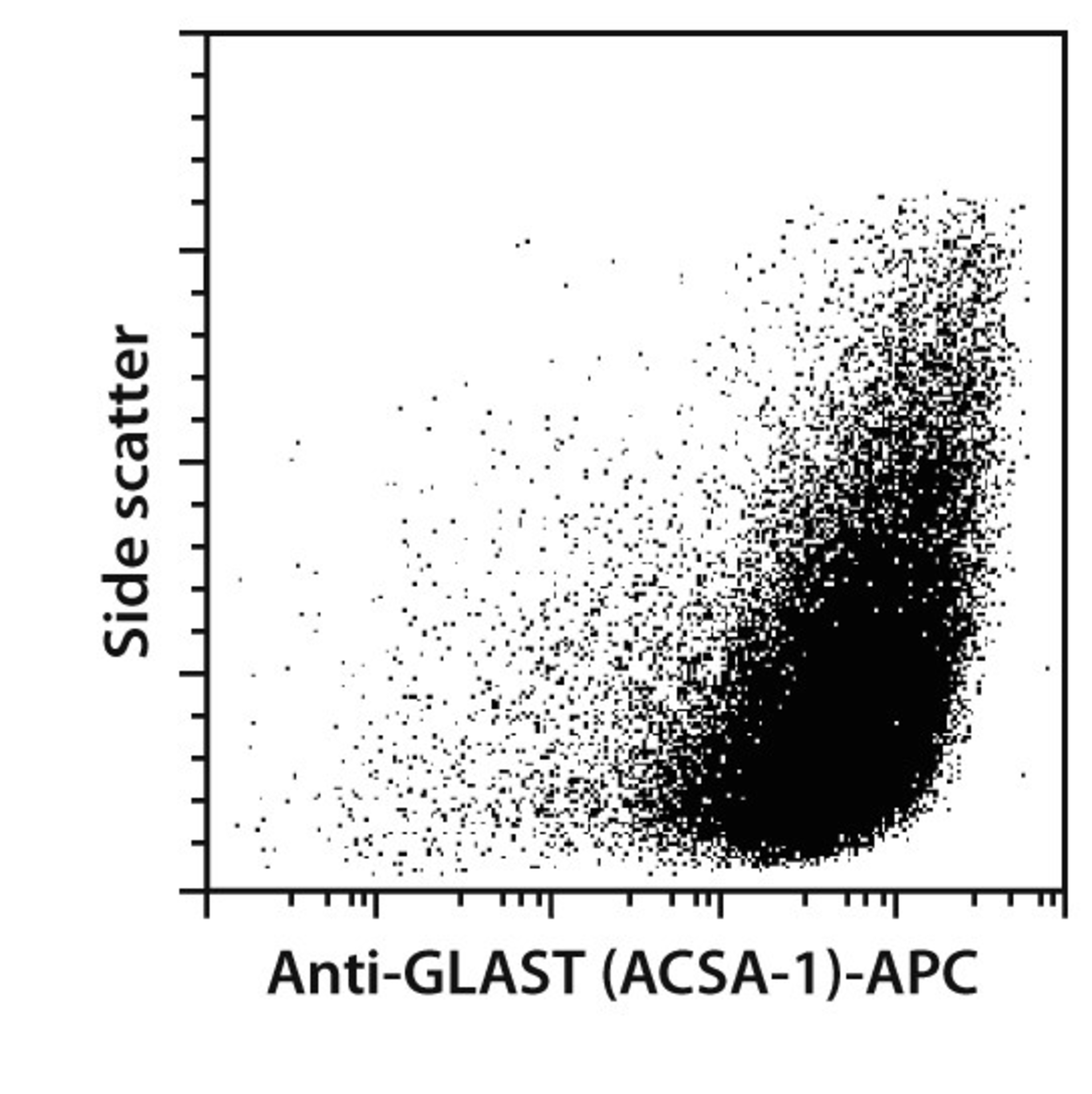 GLAST-positive astrocytes | Isolation and cultivation | Protocol ...