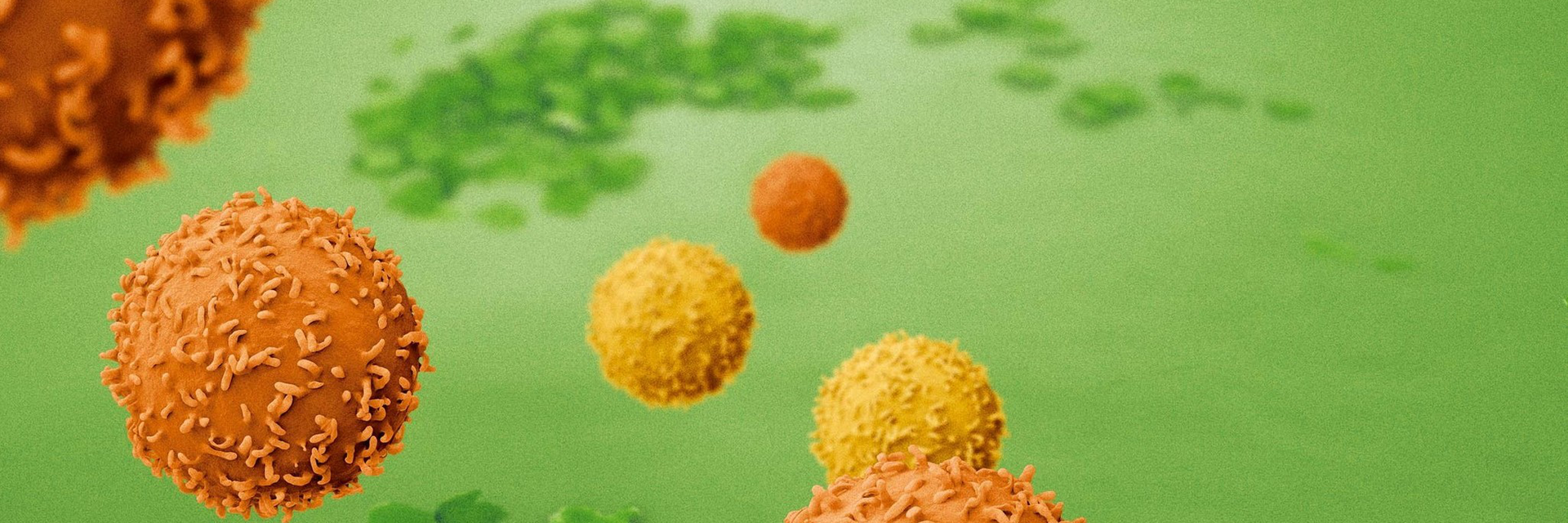 Activation of regulatory t cells | Treg activation | Miltenyi | Miltenyi Biotec | USA