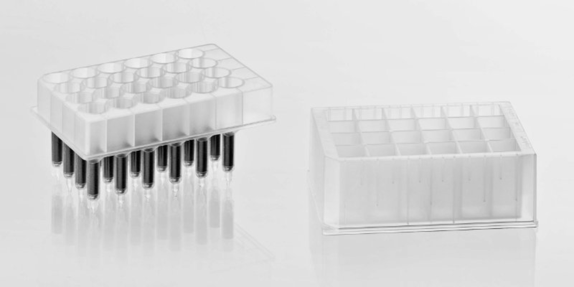 Column cell isolation explained | ms column vs ls column | Miltenyi ...
