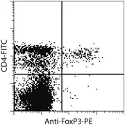 FoxP3 Staining Buffer Set | Miltenyi Biotec | USA