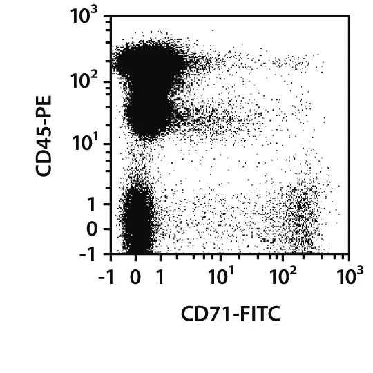 CD71 Antibody, anti-human, REAfinity™ | Miltenyi Biotec | India