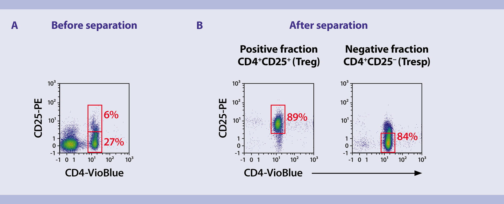 Regulatory T cells | T cell isolation | in vitro suppression | Miltenyi ...